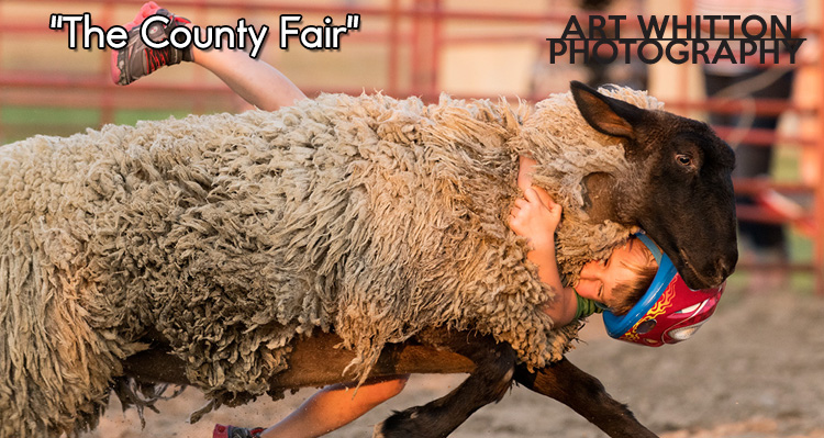 County Fair Photography | ART WHITTON PHOTOGRAPHY