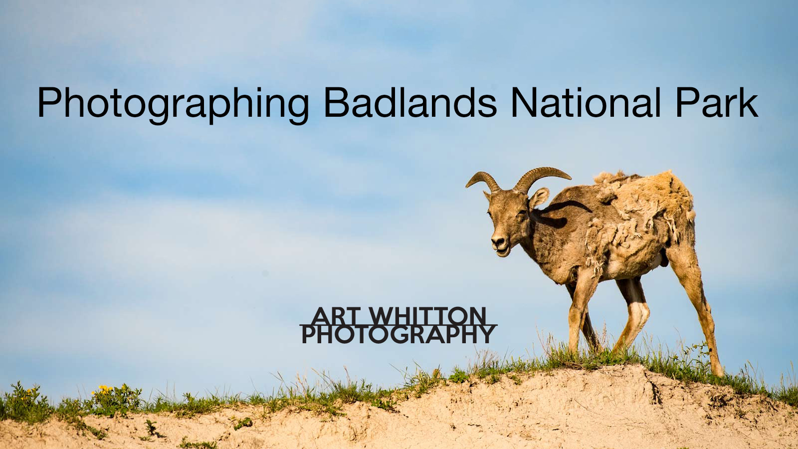 2019 Guide to Photographing Badlands National Park | ART WHITTON ...