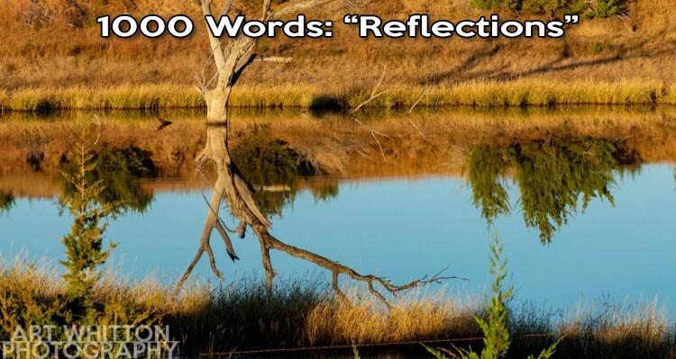 1000 Words #2 - Reflections | ART WHITTON PHOTOGRAPHY